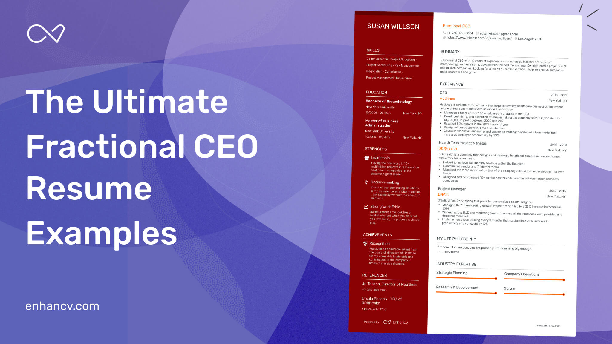 5 Fractional CEO Resume Examples & Guide for 2023