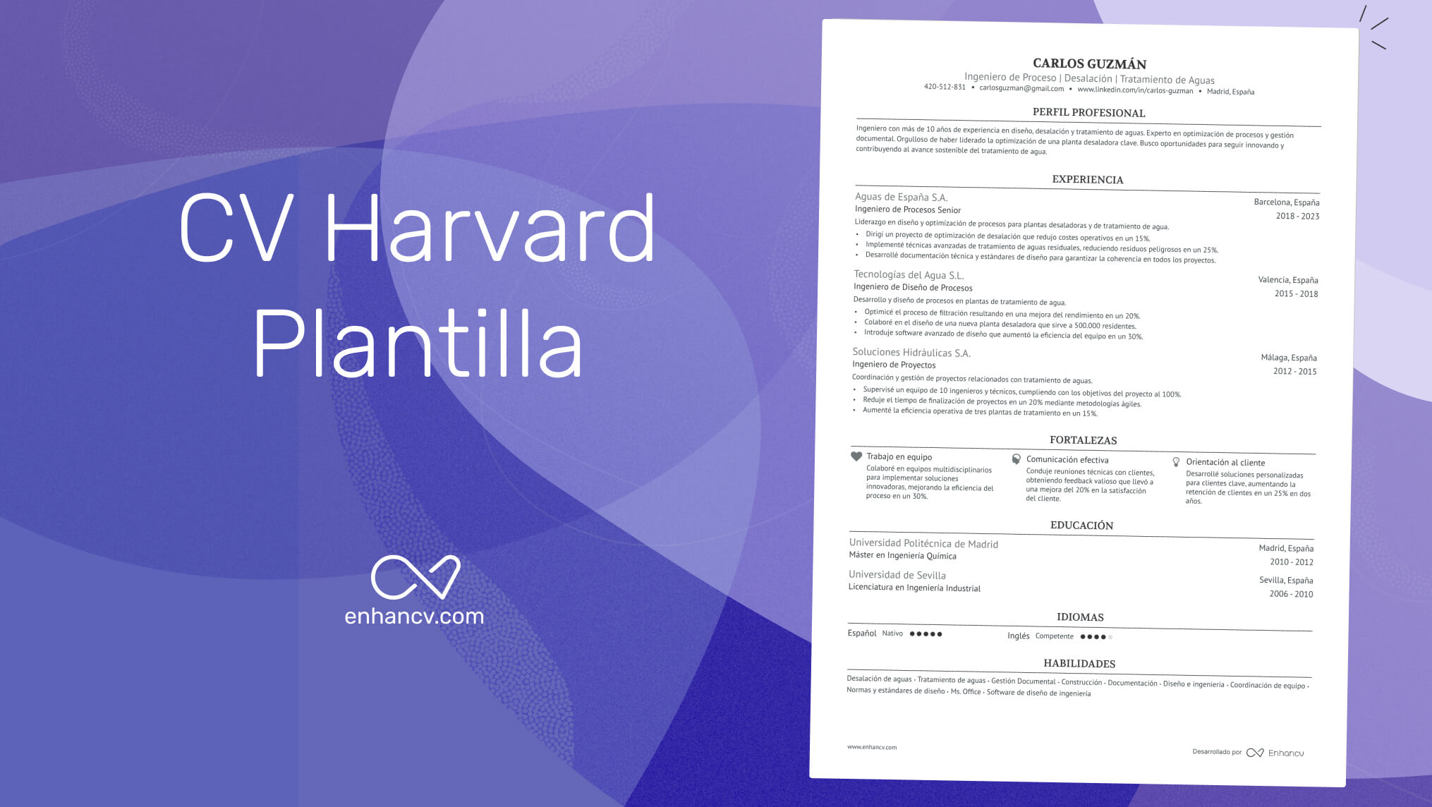 CV Harvard plantilla: Crea un CV profesional y destacado