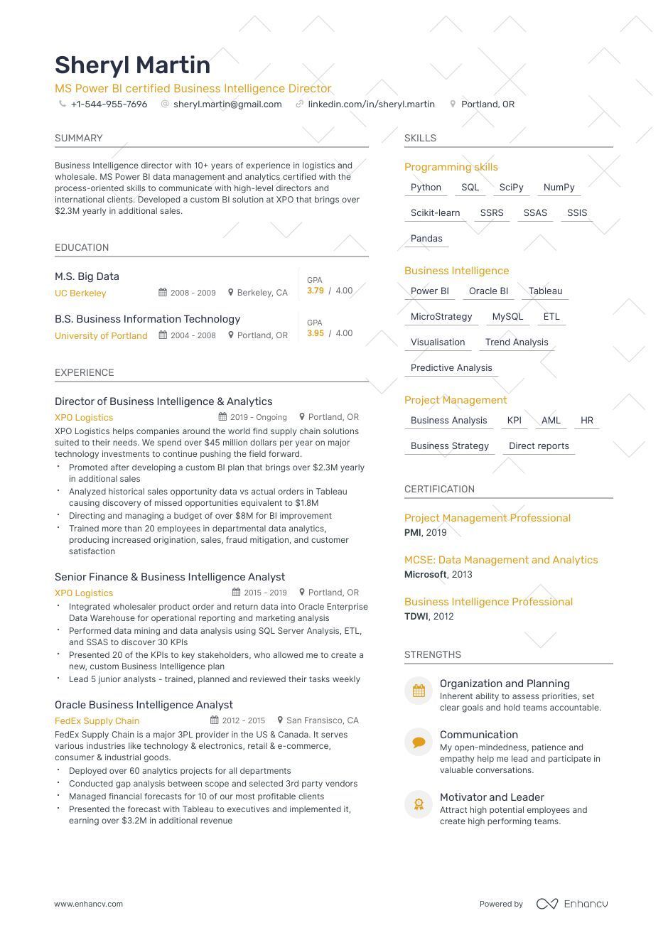 Business Intelligence Resume Examples + Templates & Expert Advice ...