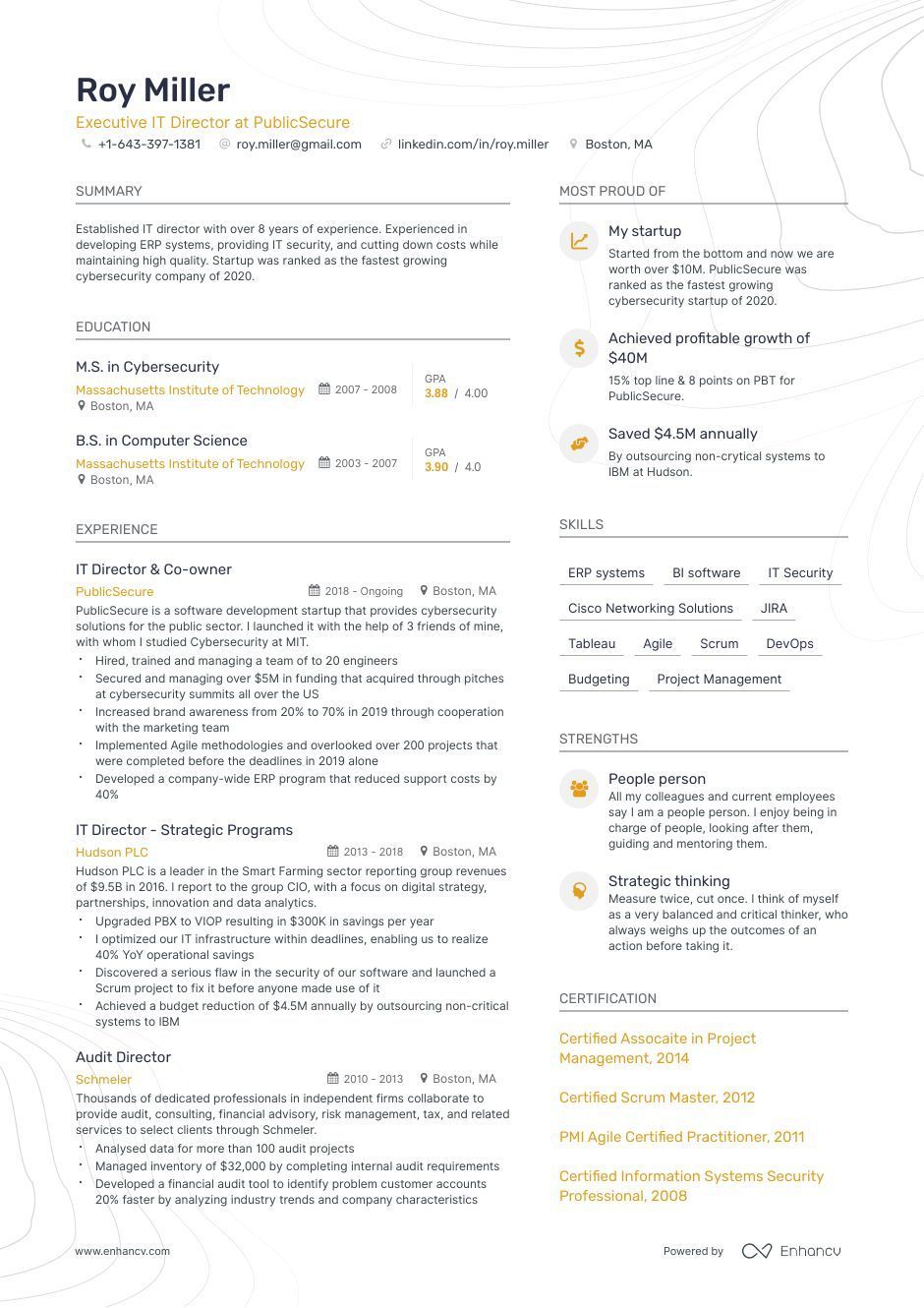 IT Director Resume Examples | Do’s and Don’ts for 2023 | Enhancv ...