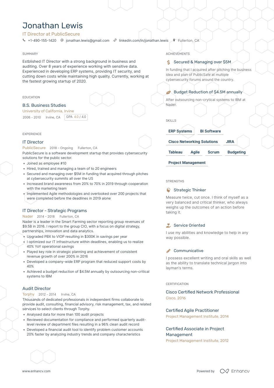 IT Director Resume Examples | Do’s and Don’ts for 2023 | Enhancv ...