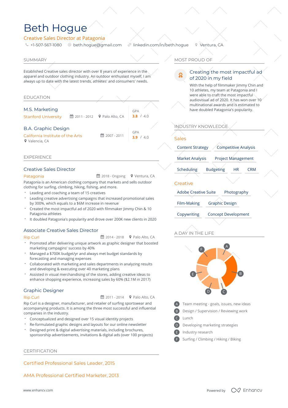 Sales Director Resume Examples: Templates & How-To Guide (Layout ...
