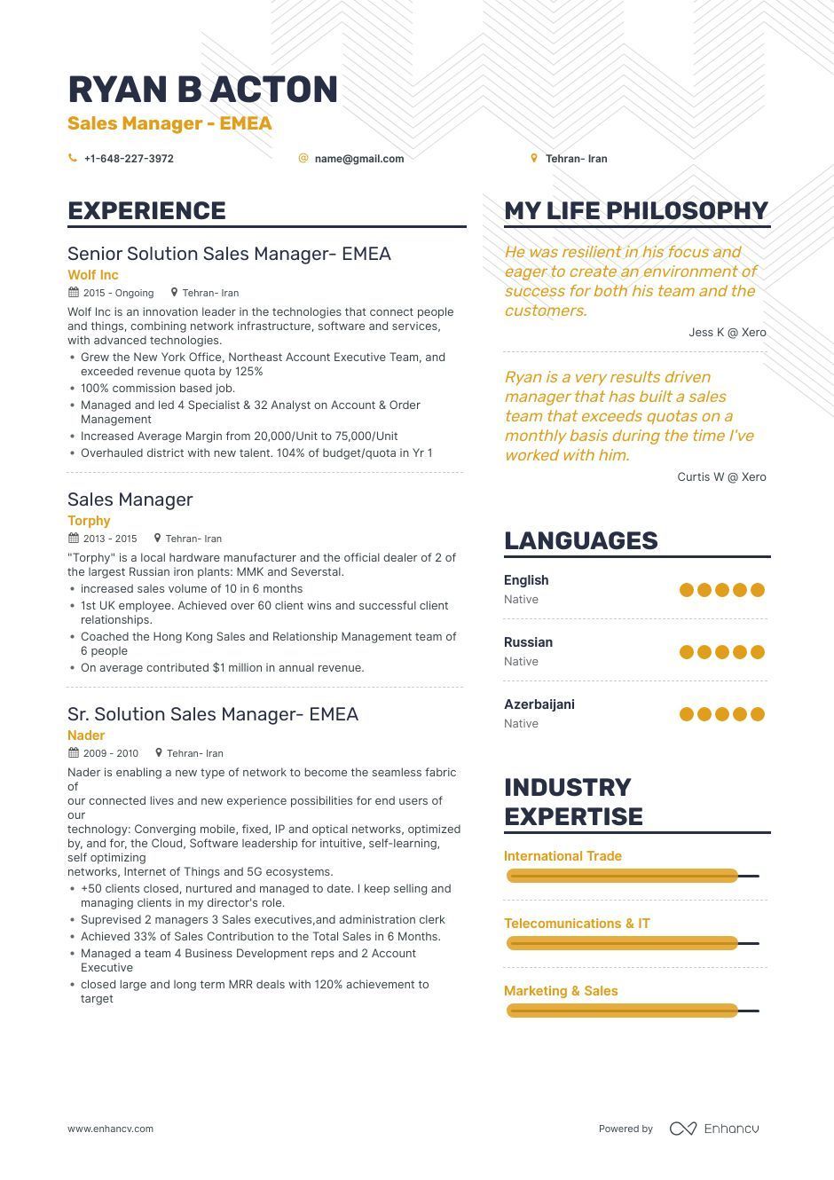 Sales Resume: Examples & How-To Guide (Layout, Skills, Keywords & Job ...