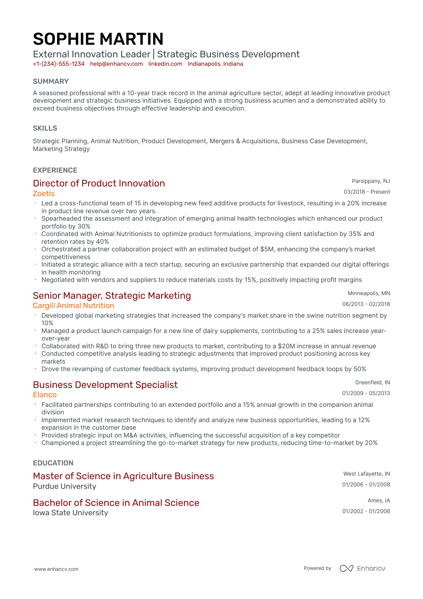 10 Executive Manager Resume Examples, Templates & Guide for 2026