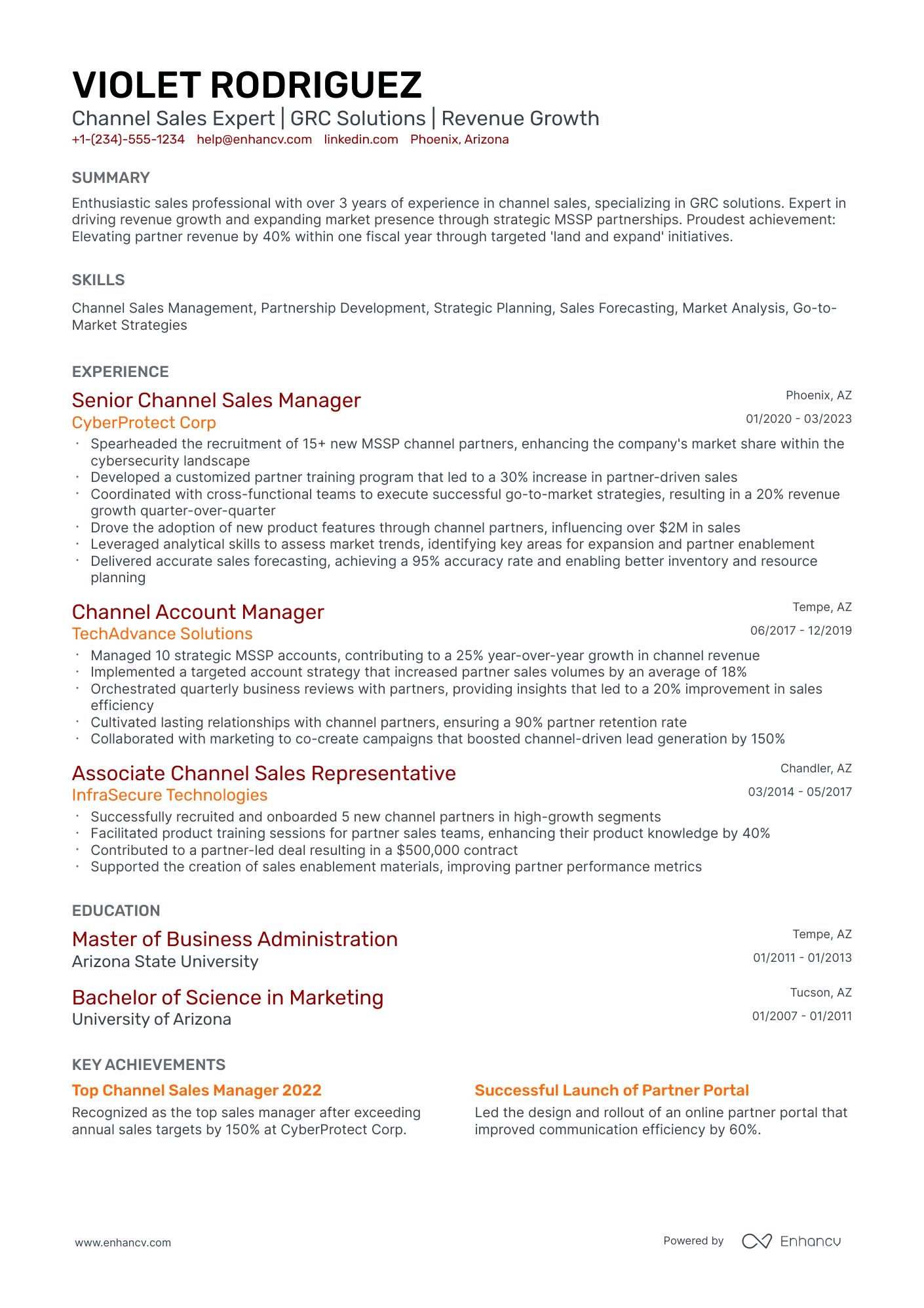 10 Channel Sales Manager Resume Examples & Guide for 2025