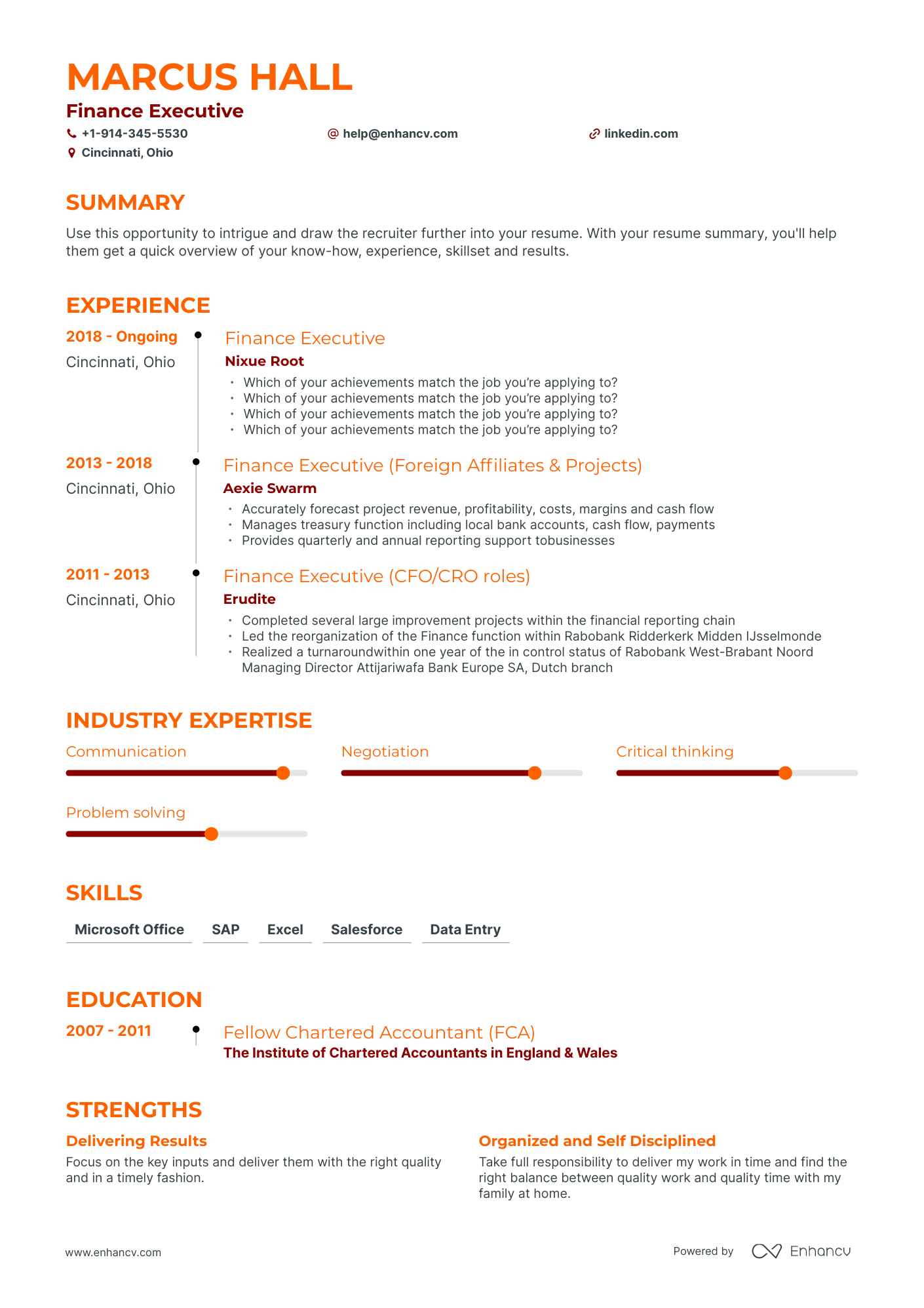 Finance Executive Resume Examples & Guide for 2023 (Layout, Skills ...