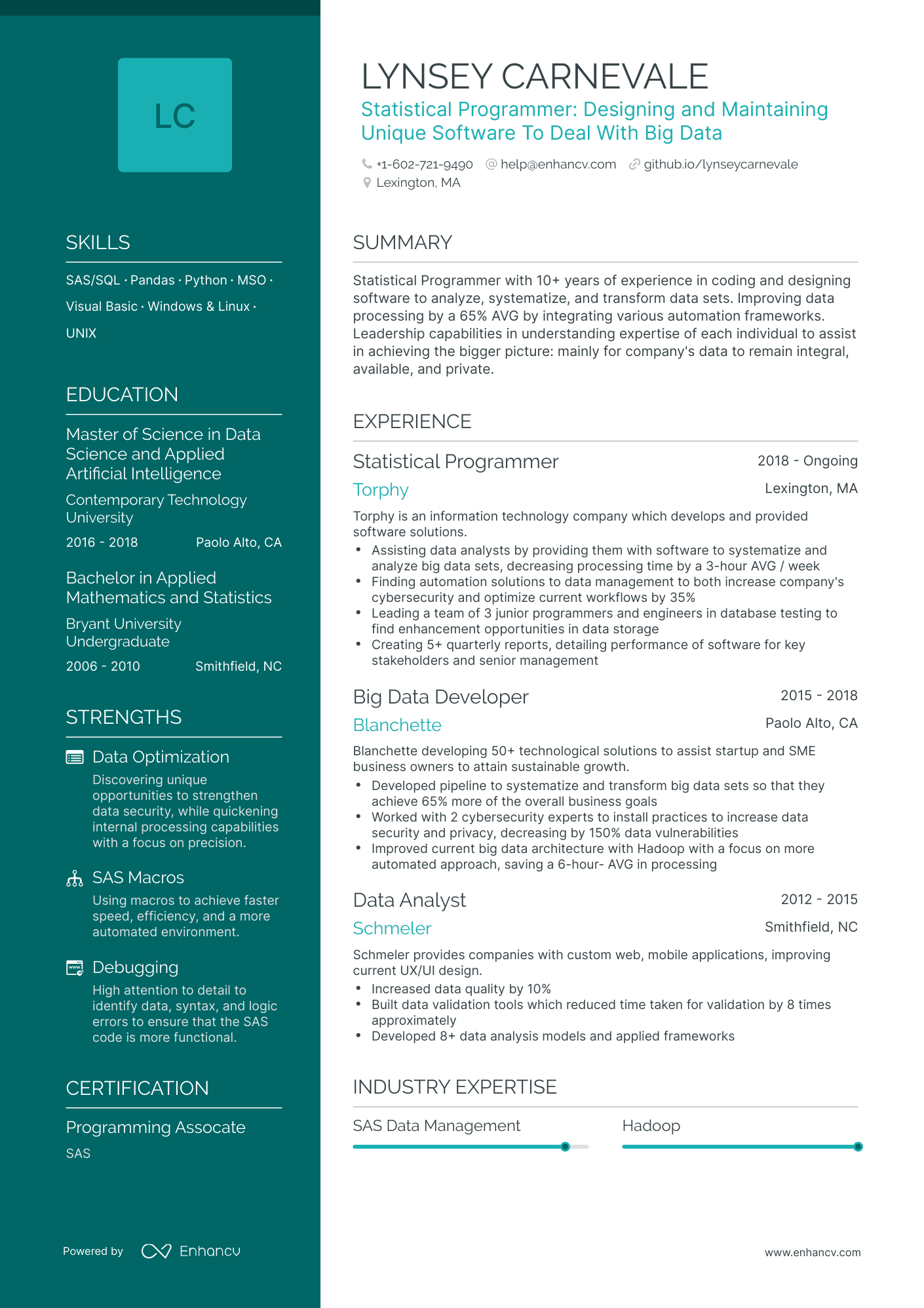5 Statistical Programmer Resume Examples & Guide for 2024