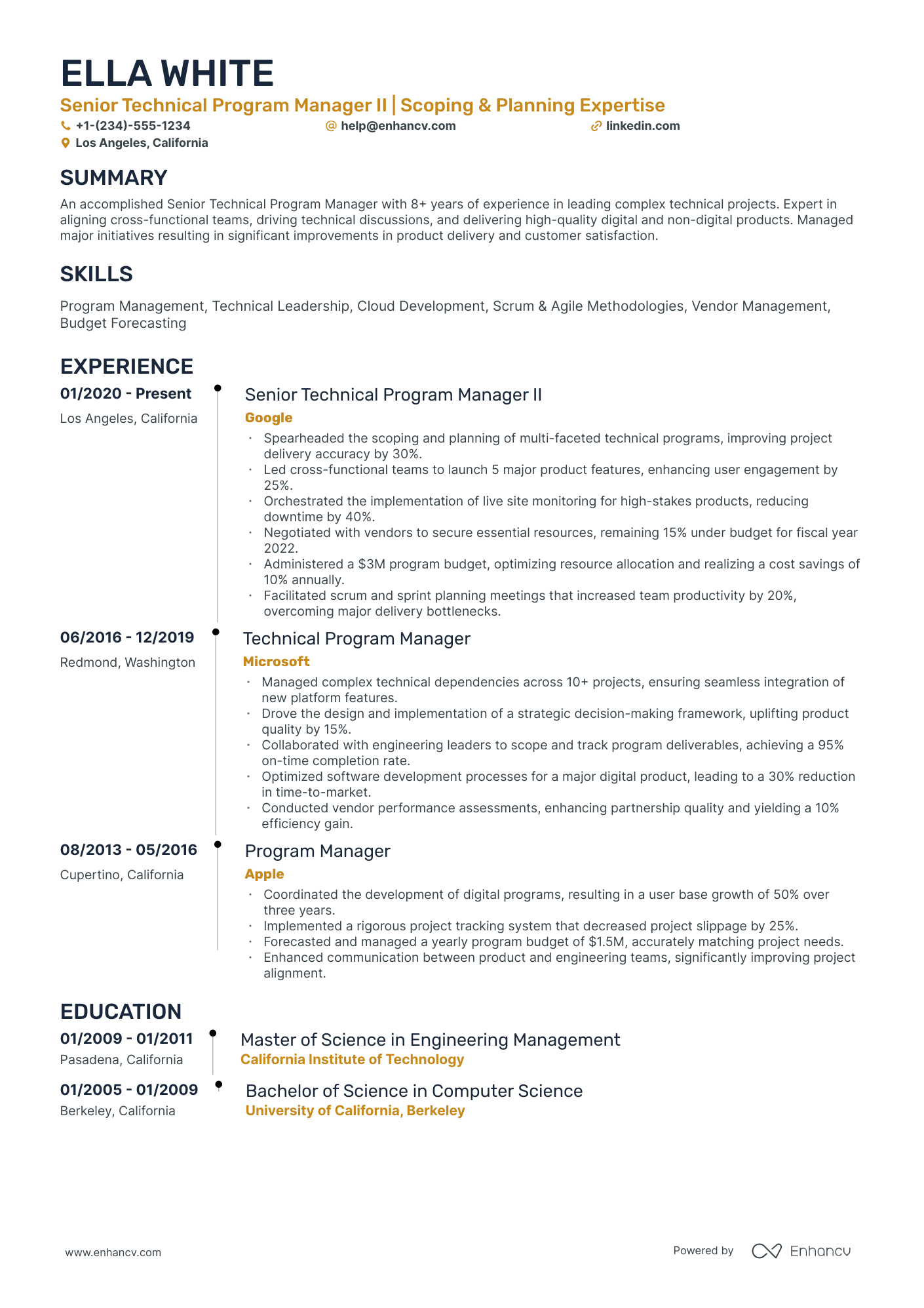 10 Technical Program Manager Resume Examples & Guide for 2025