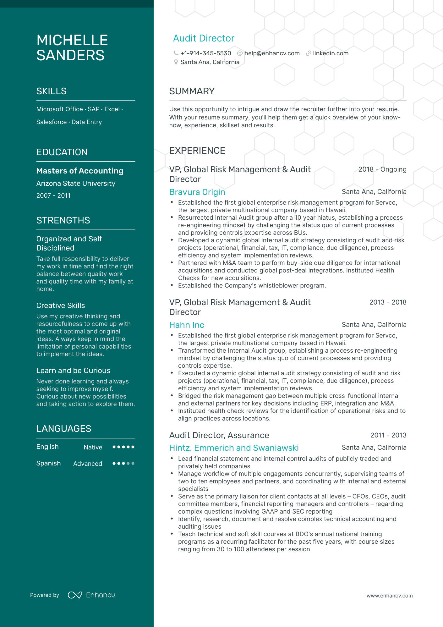 Audit Director Resume Examples & Guide for 2023 (Layout, Skills ...