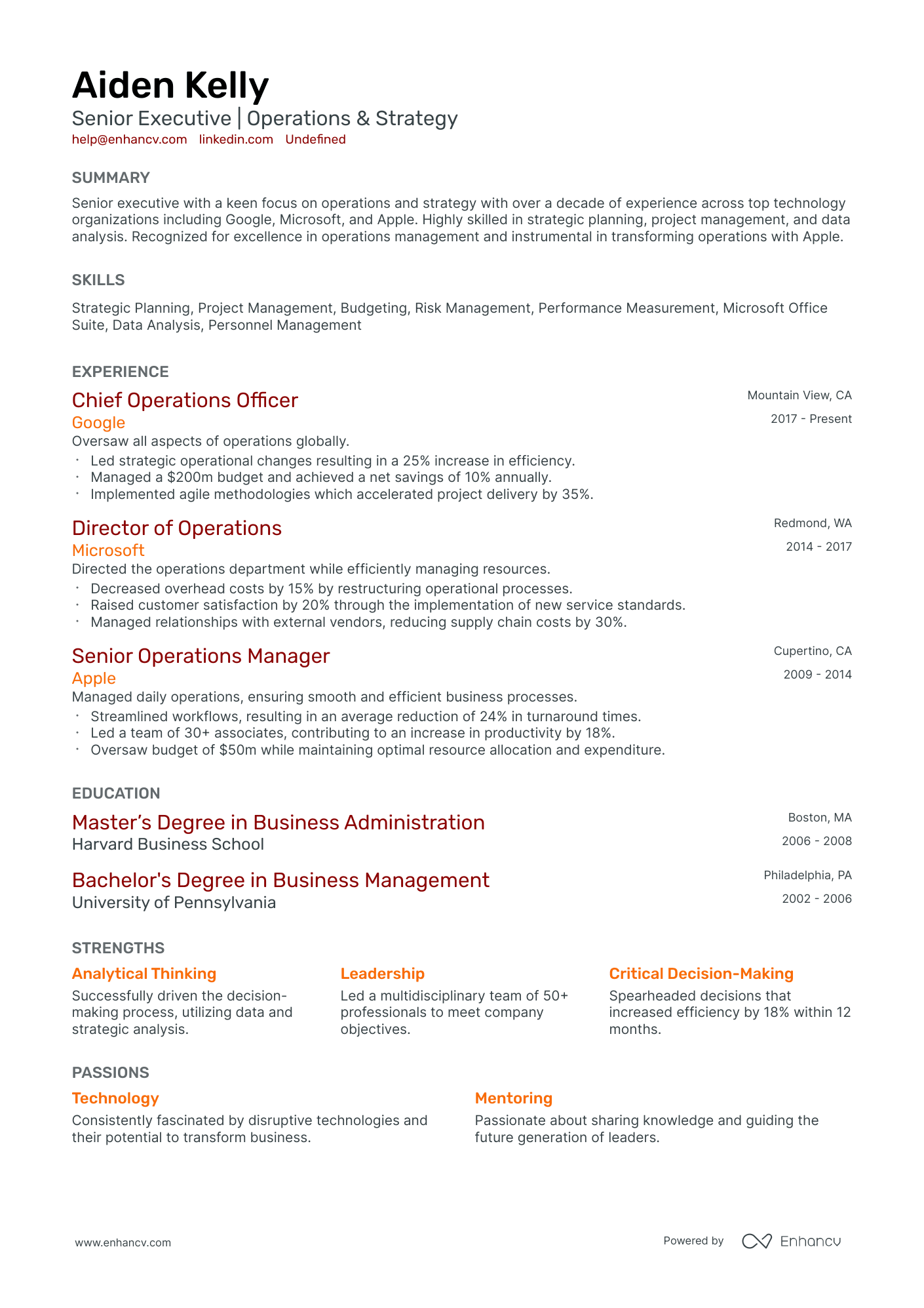 10 Board of Directors Resume Examples & Guide for 2026