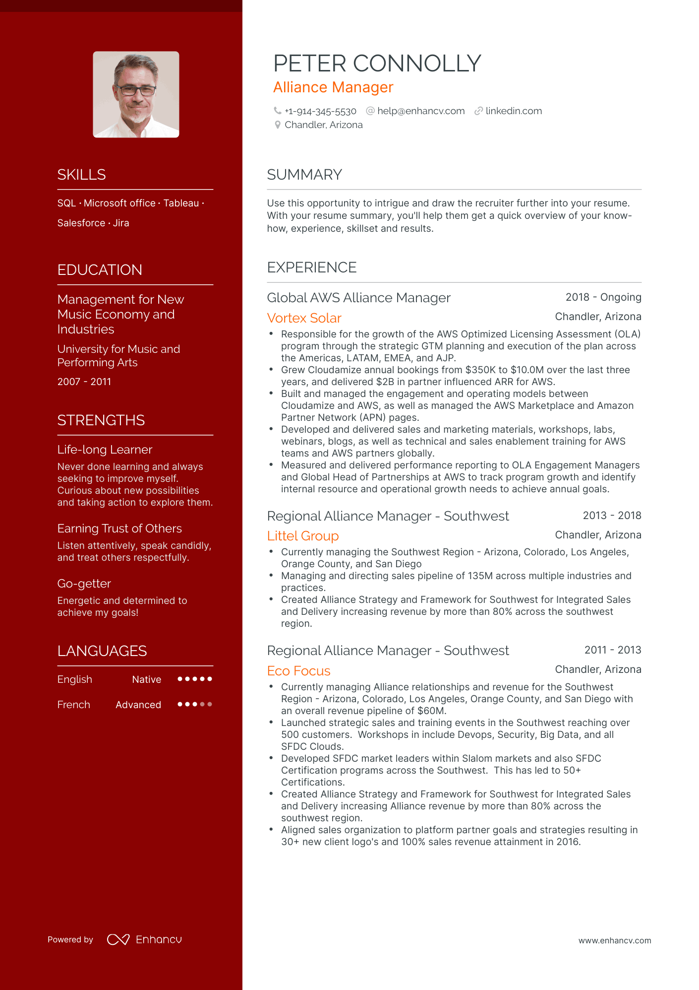 Alliance Manager Resume Examples & Guide for 2023 (Layout, Skills ...