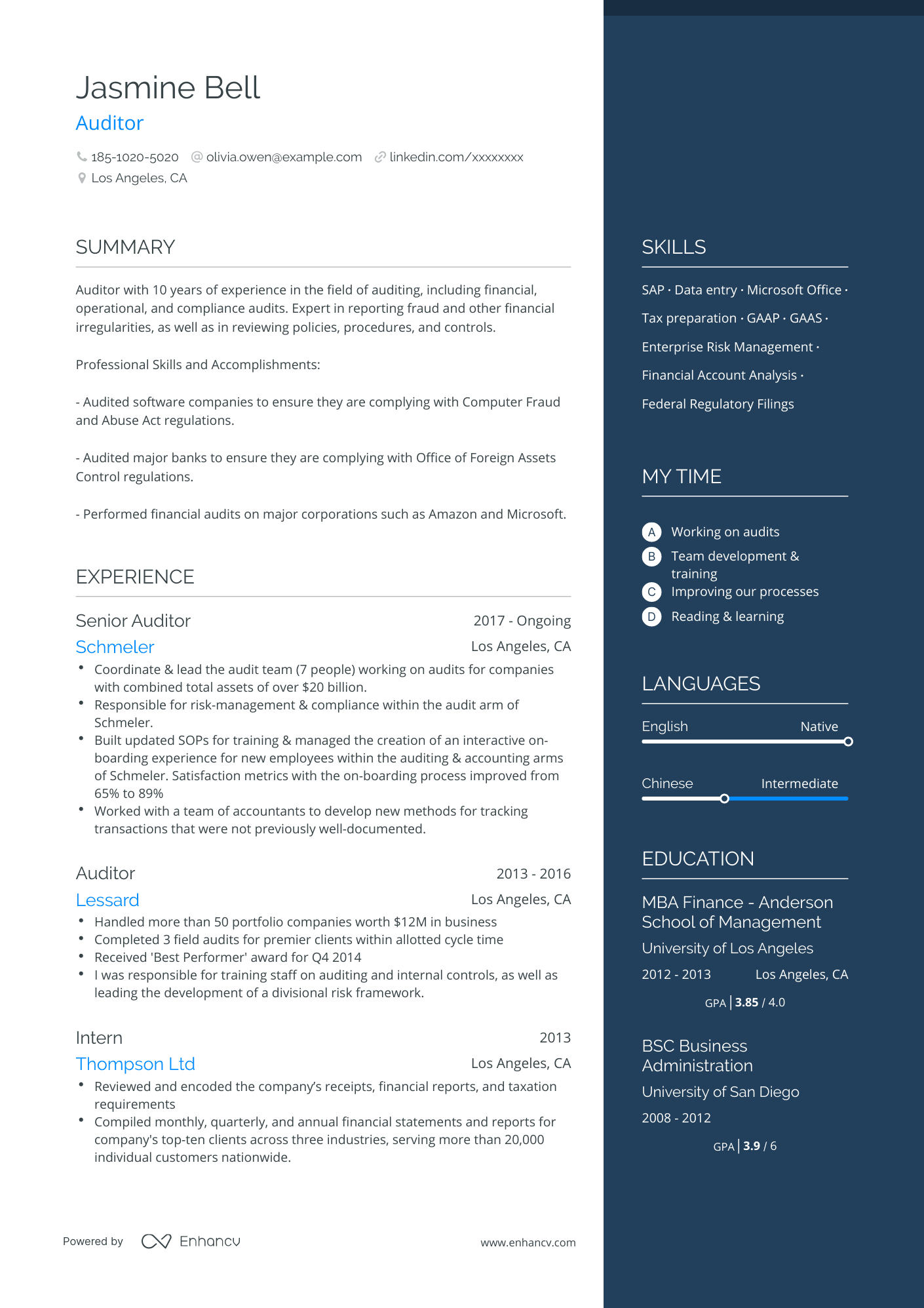 15 Auditor Resume Examples & Guide for 2023