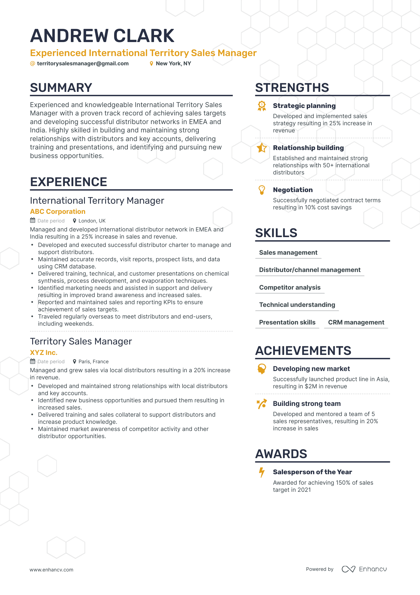 5 Territory Sales Manager Resume Examples & Guide for 2024