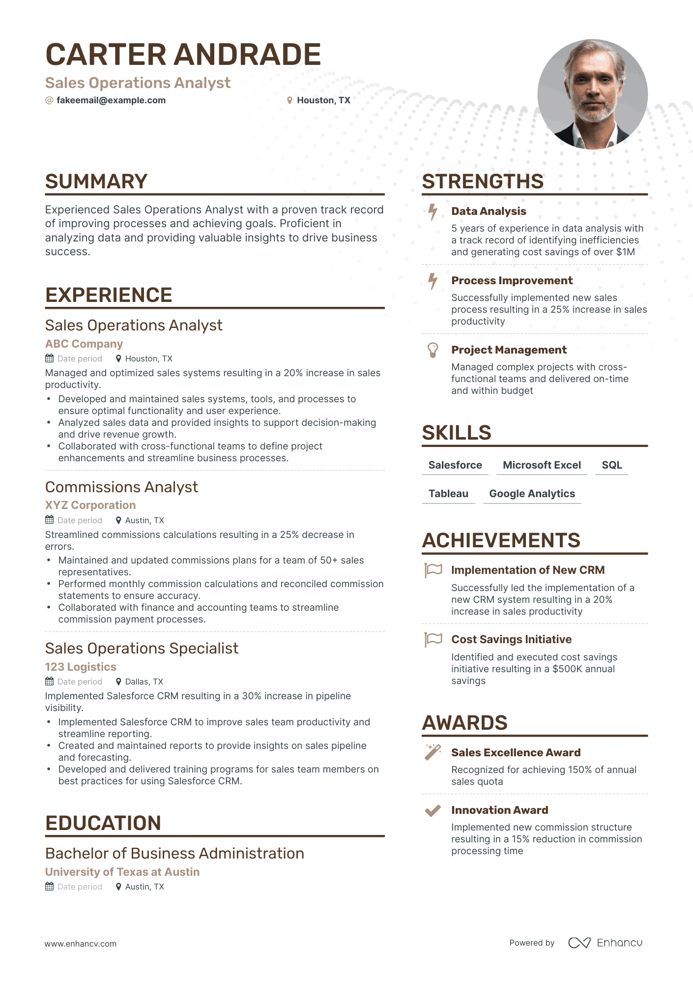 Sales Operations Analyst Resume Examples