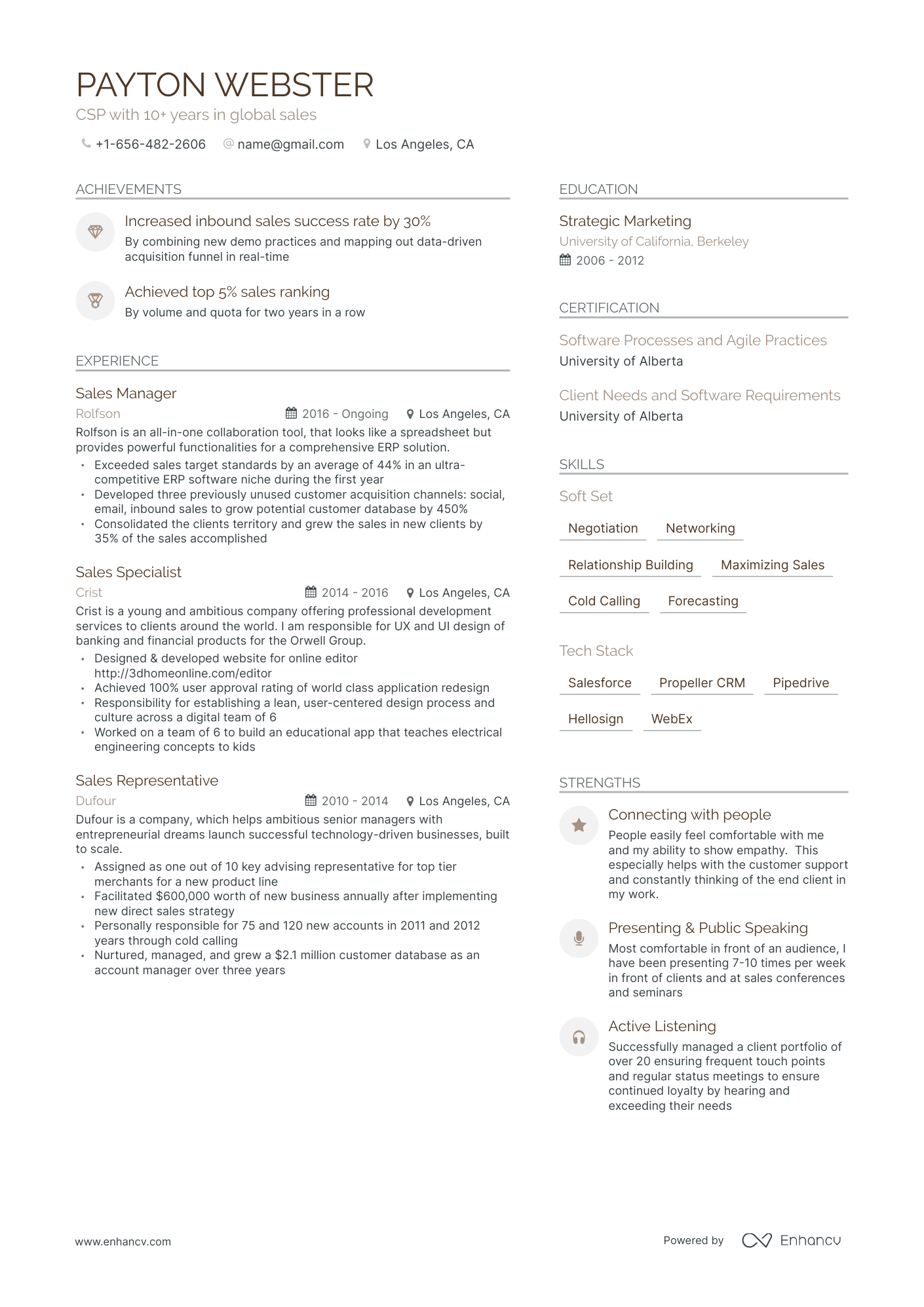 Sales Resume: Examples & How-To Guide (Layout, Skills, Keywords & Job ...