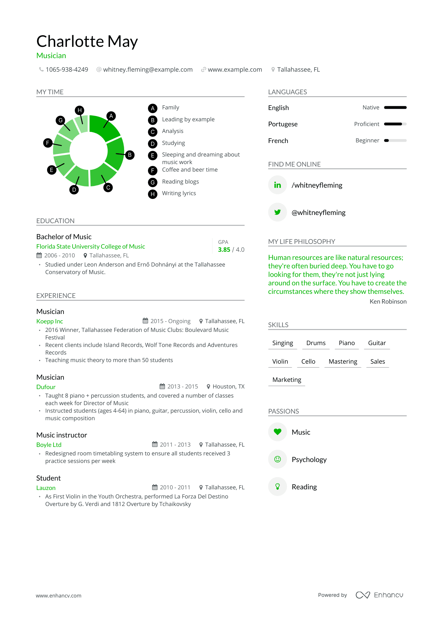 Musician Resume Examples [Inside How-To Tips] | Enhancv (Layout, Skills ...