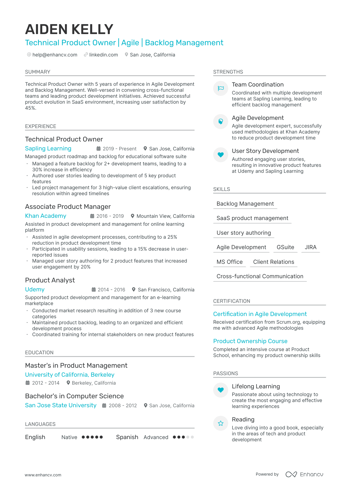 5 Technical Product Owner Resume Examples & Guide for 2024