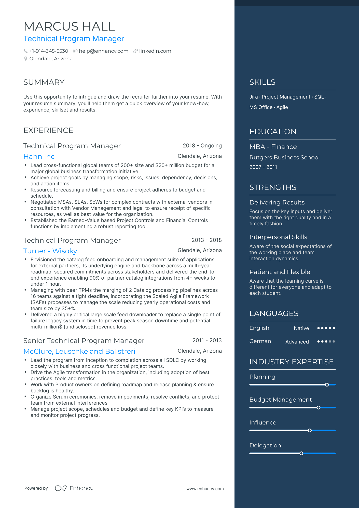 Technical Program Manager Resume Examples & Guide for 2023 (Layout ...