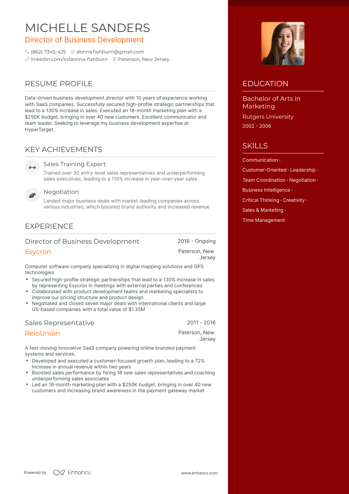 Director of Business Development Resume: Examples & Guide for 2023 ...