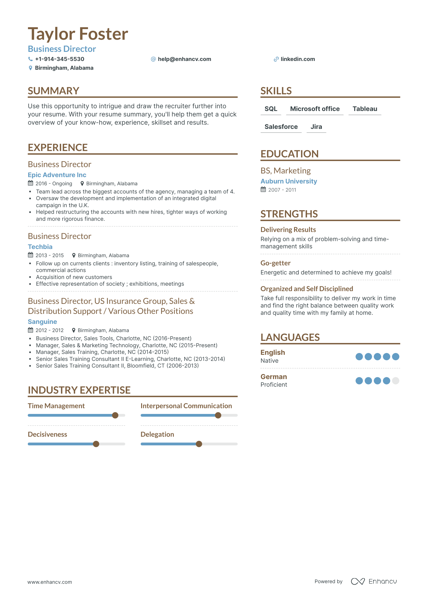 Business Director Resume Examples & Guide for 2023 (Layout, Skills ...