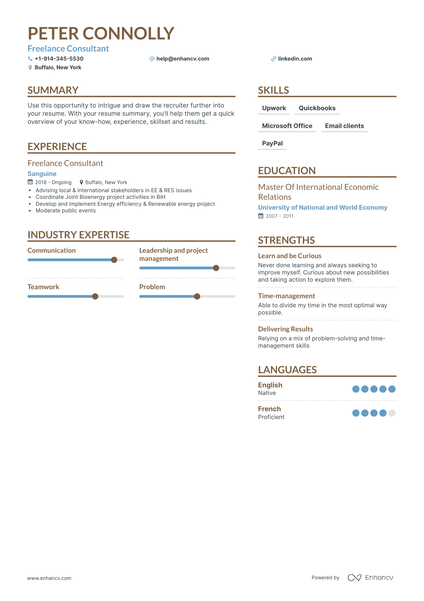 Freelance Consultant Resume Examples & Guide for 2023 (Layout, Skills ...