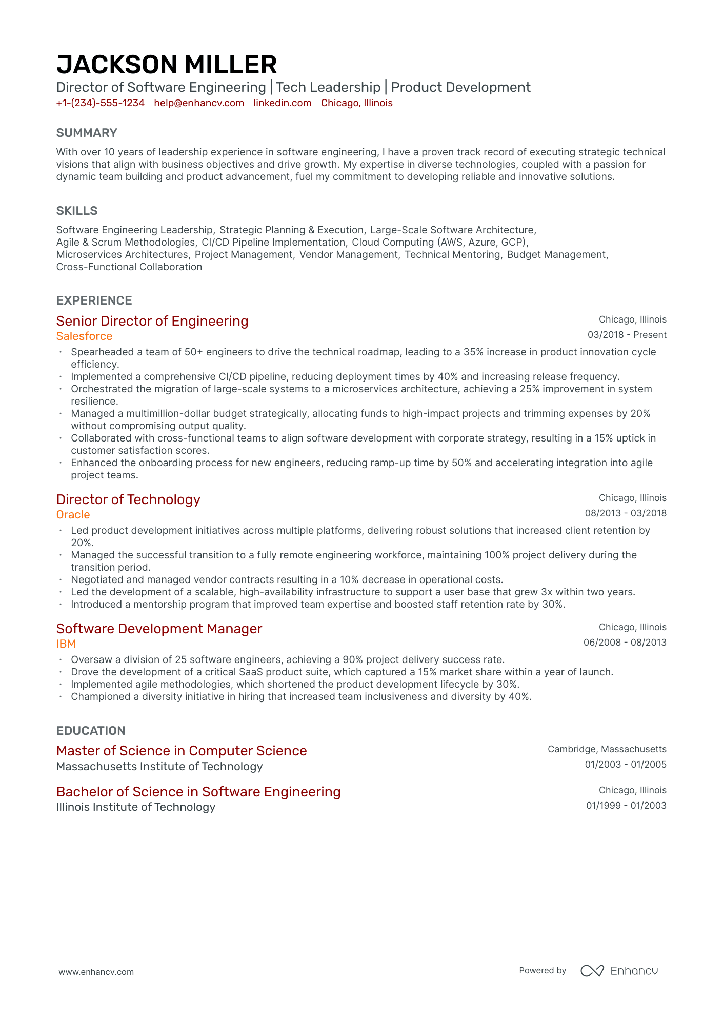 5 Director of Software Engineering Resume Examples & Guide for 2024