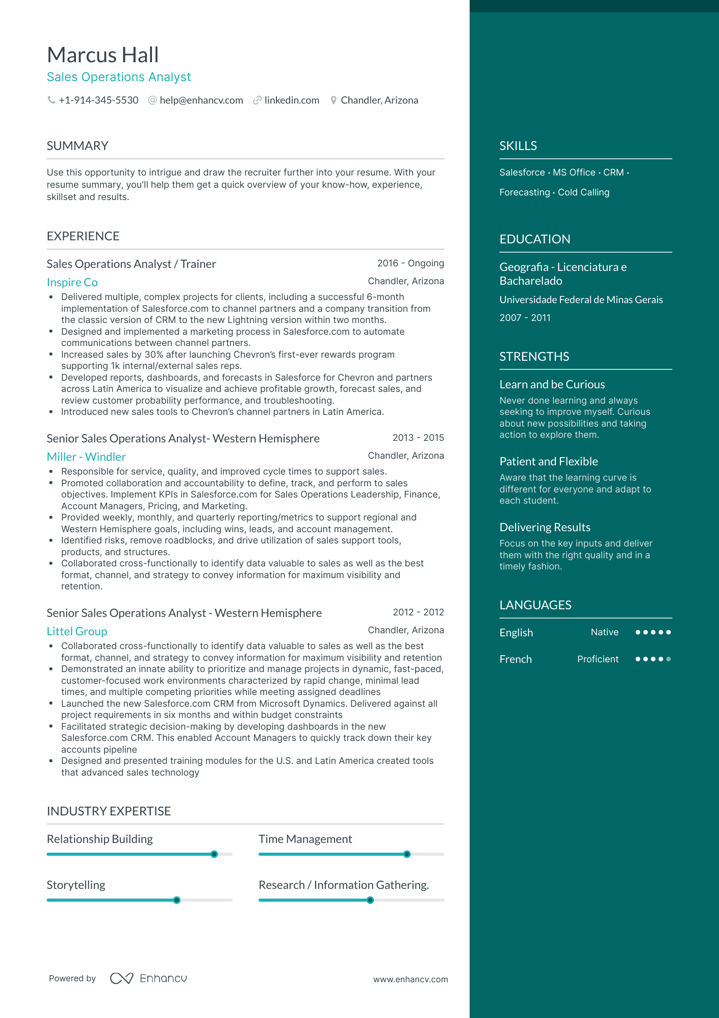 Sales Operations Analyst Resume Examples & Guide for 2023 (Layout ...