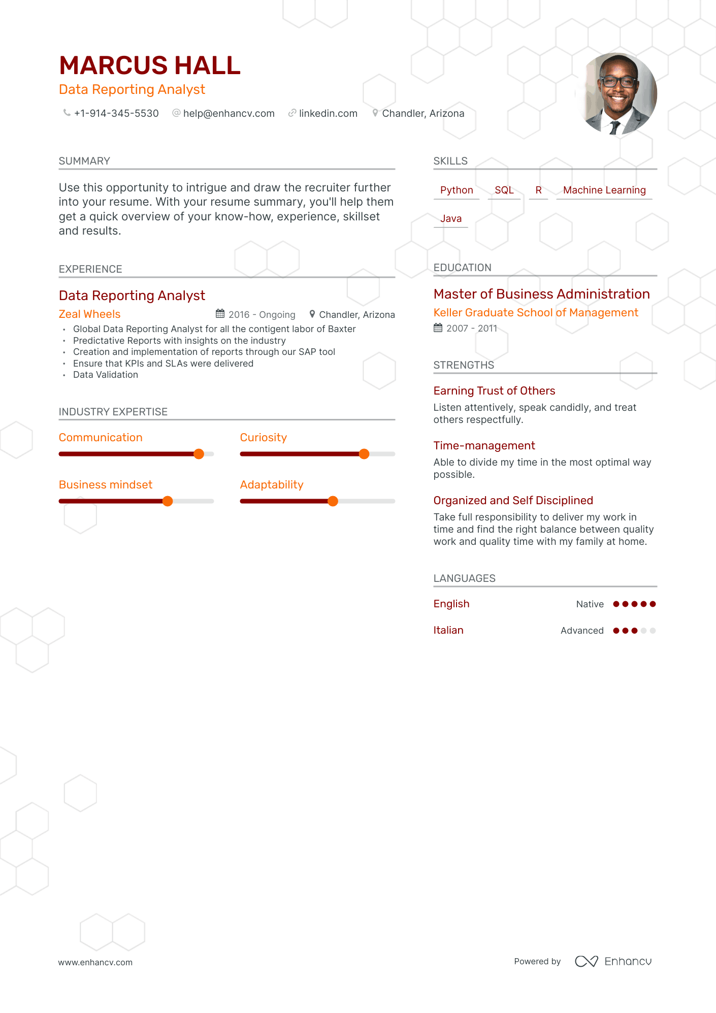 Data Reporting Analyst Resume Examples & Guide for 2023 (Layout, Skills ...