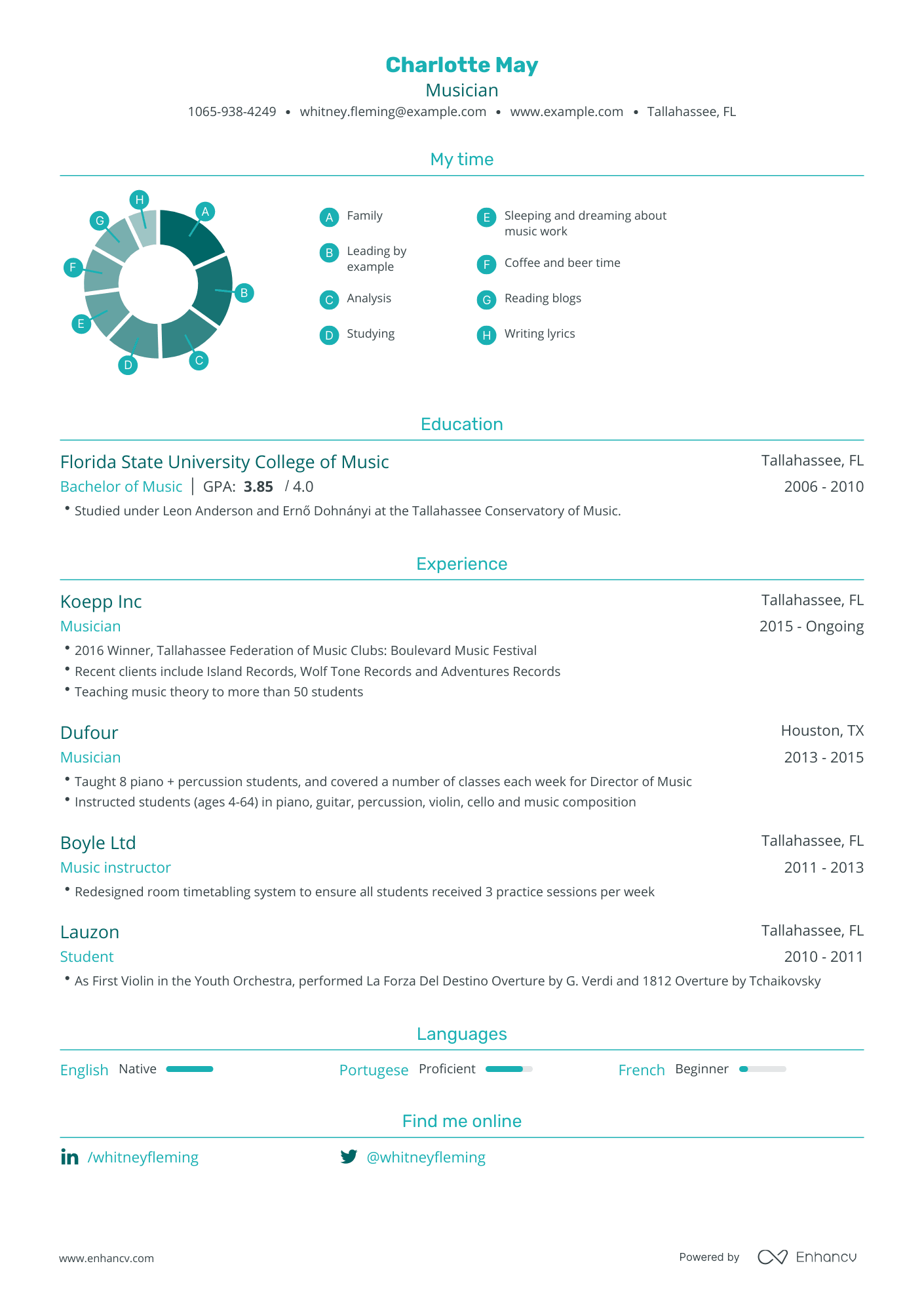 Musician Resume Examples [Inside How-To Tips] | Enhancv (Layout, Skills ...