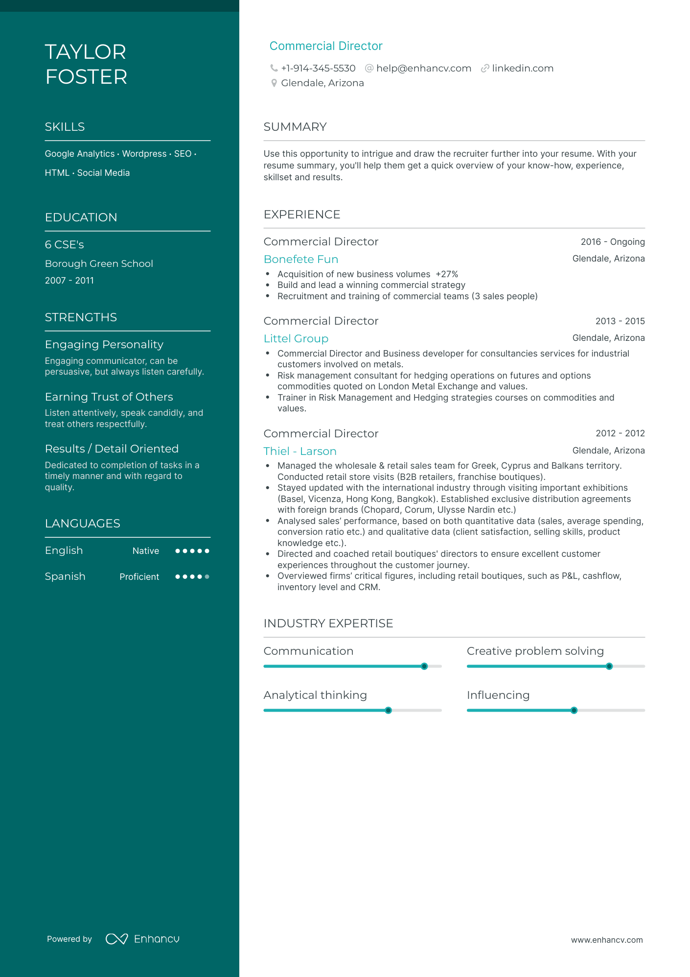 Commercial Director Resume Examples & Guide for 2023 (Layout, Skills ...