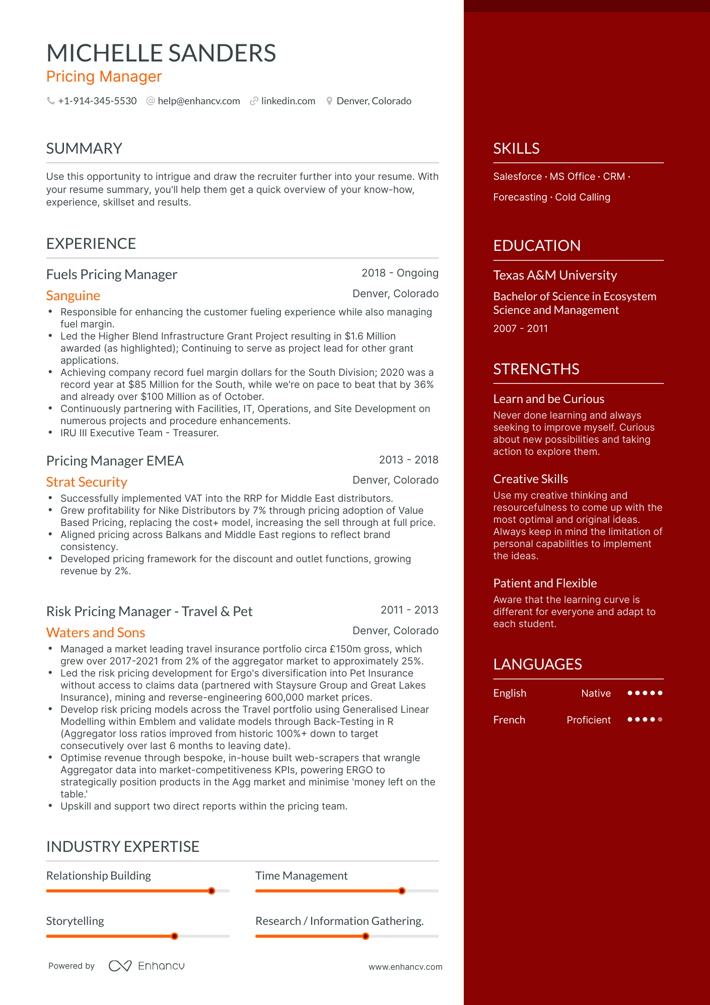 Pricing Manager Resume Examples & Guide for 2023 (Layout, Skills ...