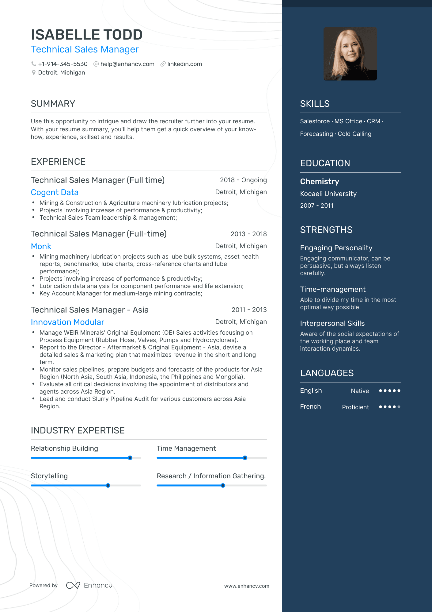 Technical Sales Manager Resume Examples & Guide for 2023 (Layout ...