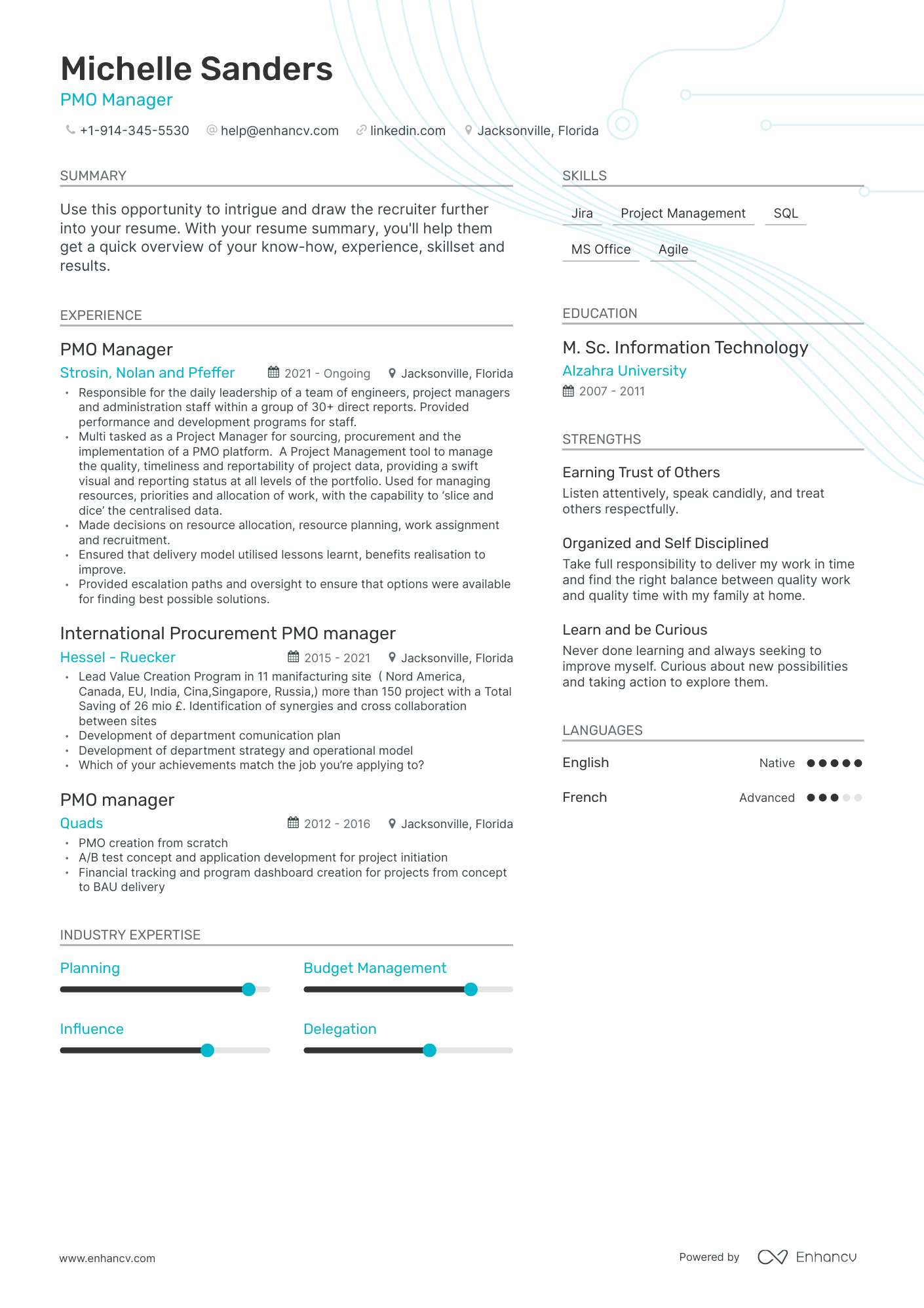 PMO Manager Resume Examples & Guide for 2023 (Layout, Skills, Keywords ...