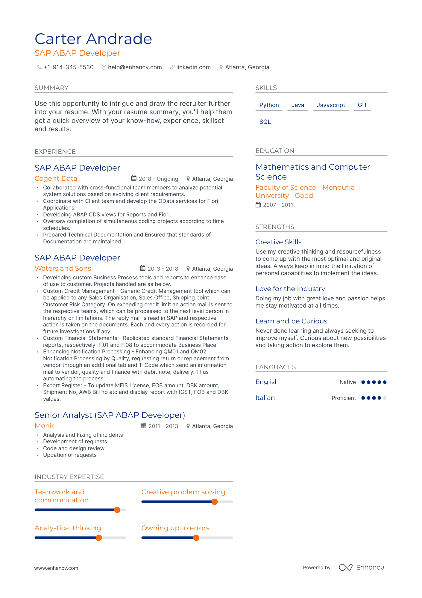 SAP ABAP Developer Resume Examples & Guide for 2023 (Layout, Skills ...