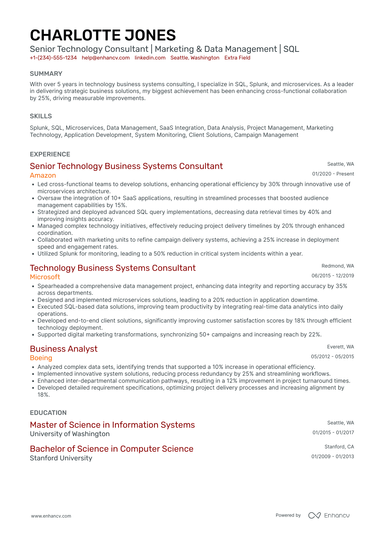 23 Tech Consultant Resume Examples & Guide for 2025