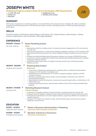 21 Program Analyst Resume Examples & Guide for 2025