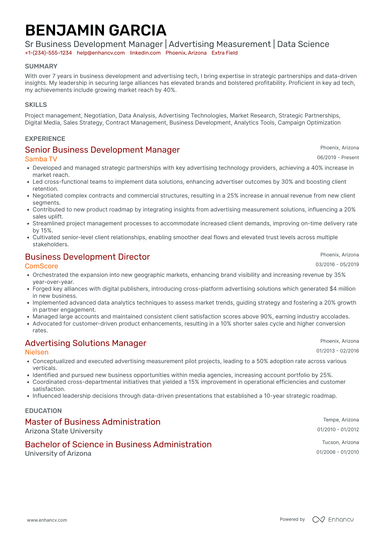 30 Advertising Resume Examples & Guide for 2025