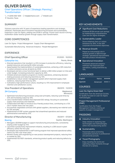 27 Chief Technology Officer (CTO) Resume Examples & Guide for 2025