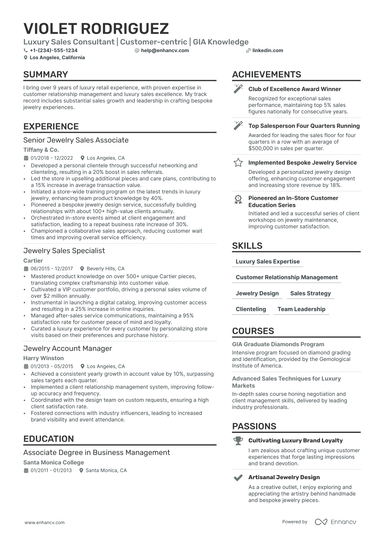 30 Sales Resume Examples & Guide for 2025