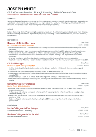 27 Director Resume Examples & Guide for 2025