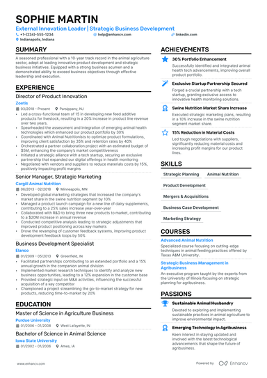 49 Executive Resume Examples, Templates & Guide for 2025