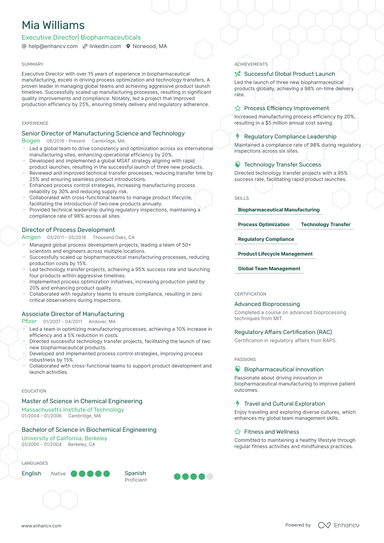 49 Executive Resume Examples, Templates & Guide for 2025