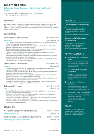 15 Salesforce Developer Resume Examples & Guide for 2025