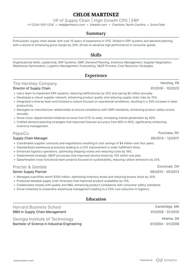 16 Vice President Resume Examples & Guide for 2025