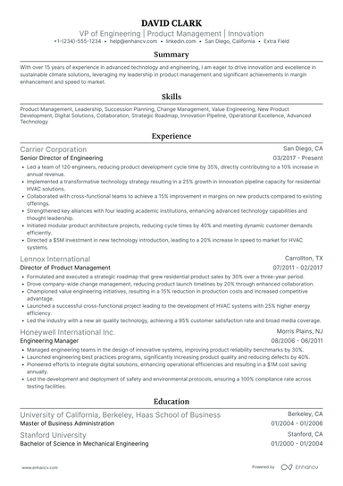 16 Vice President Resume Examples & Guide for 2025