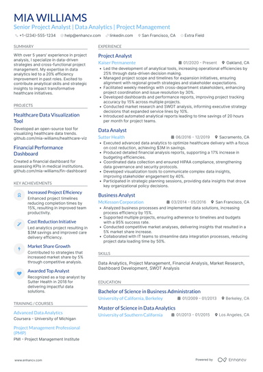 20 Project Analyst Resume Examples & Guide for 2025