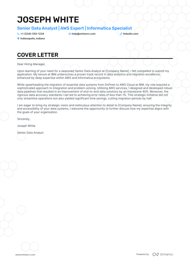 20 Professional Data Analyst Cover Letter Examples and Template for ...