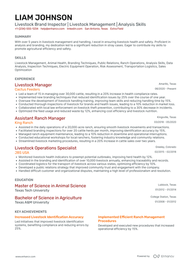 17 US Resume Examples & Guide for 2025