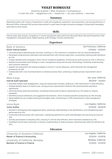 21 IT Auditor Resume Examples & Guide for 2025
