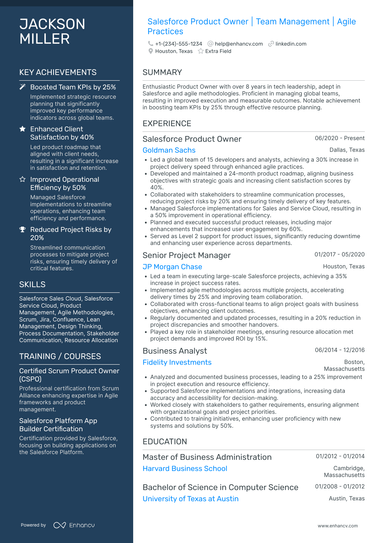 17 Tech Sales Resume Examples & Guide for 2025